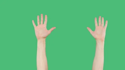 Palm Green Screen Stock Videos – Royalty-Free HD & 4K Videos | Pond5