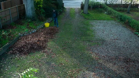 Raking Leaves | Stock Video | Pond5