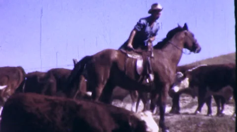 Ranch Home Stock Videos – Royalty-Free HD & 4K Videos