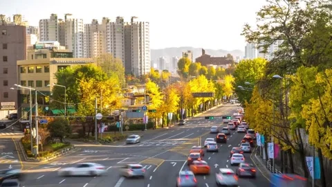 After Effects: Random Glitch Transitions for After Effects #241560478