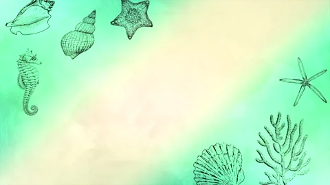 Random sea animals on beach | Stock Video | Pond5