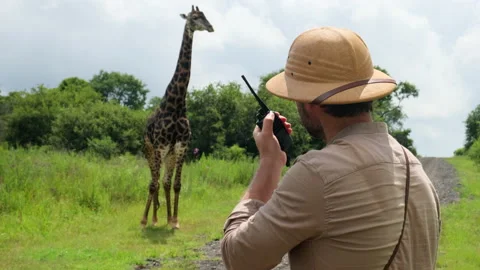 ranger rescuer in the safari park speaks... | Stock Video | Pond5