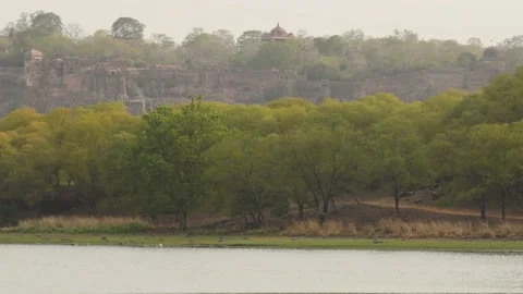 Ranthambore Fort Stock Video Footage | Royalty Free Ranthambore Fort ...