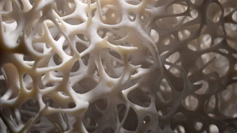 Rapid growth of bone tissue, 3d animatio... | Stock Video | Pond5