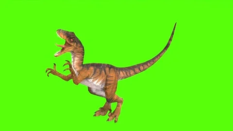 Raptor Attack Green Screen Animation and... | Stock Video | Pond5