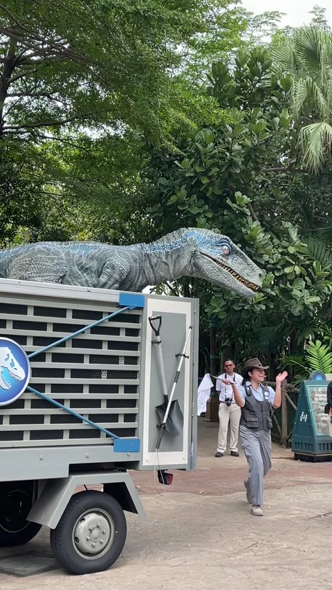 Live Encounter Stock Videos – Royalty-Free HD & 4K Videos | Pond5