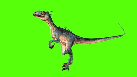 Raptor Idle Green Screen Animation and 3... | Stock Video | Pond5