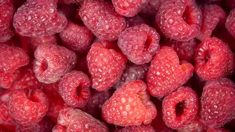 Raspberries on the whole background. A p... | Stock Video | Pond5