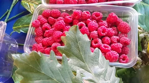 raspberry in pink plastic packaging | Stock Video | Pond5