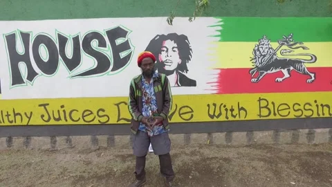 Rastafari man in front of a lion of juda... | Stock Video | Pond5