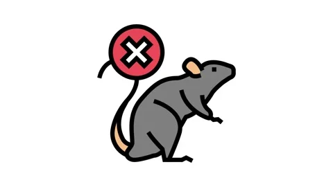 Rat Icon Stock Video Footage | Royalty Free Rat Icon Videos | Pond5