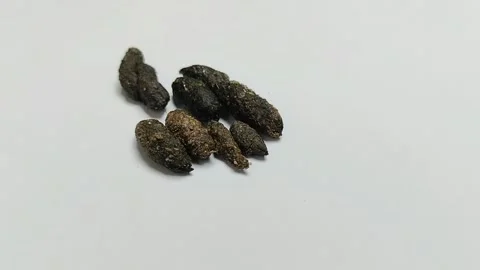 Cauze Background Stock Videos – Royalty-Free HD & 4K Videos