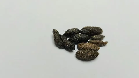 Cauze Background Stock Videos – Royalty-Free HD & 4K Videos