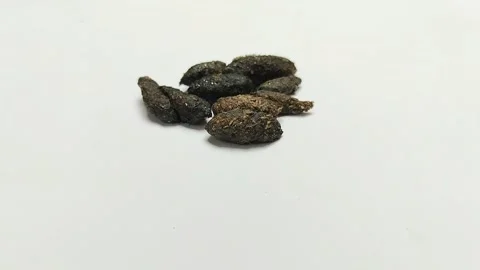 Cauze Background Stock Videos – Royalty-Free HD & 4K Videos