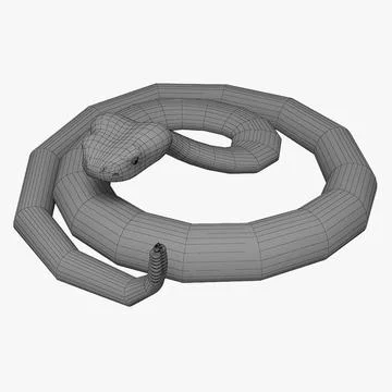 Rattlesnake ~ 3D Model ~ Download #96474504 | Pond5