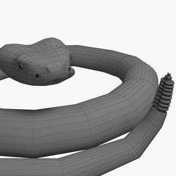 Rattlesnake ~ 3D Model ~ Download #96474504 | Pond5