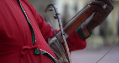 Ravanahatha Stock Footage ~ Royalty Free Stock Videos | Pond5