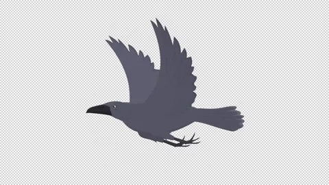 Raven Animation Stock Video Footage | Royalty Free Raven Animation ...