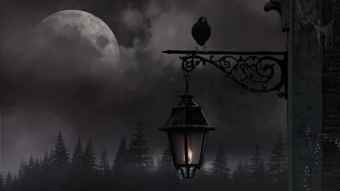 Raven on Lamp post Misty Night Sky 4K lo... | Stock Video | Pond5