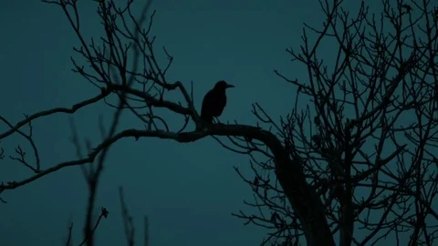 Resting Stock Footage ~ Royalty Free Stock Videos | Pond5