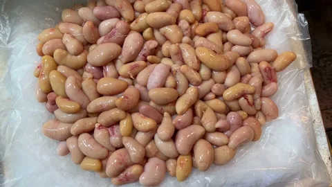 Testicles Stock Footage ~ Royalty Free Stock Videos | Pond5