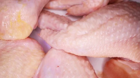 Wing Texture Stock Footage ~ Royalty Free Stock Videos | Pond5