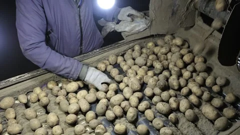 Potatoes Ships Stock Videos – Royalty-Free HD & 4K Videos