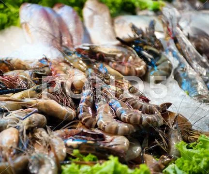 Raw Seafood On Local Fish Market In Thailand, Asia - Stock Image ...