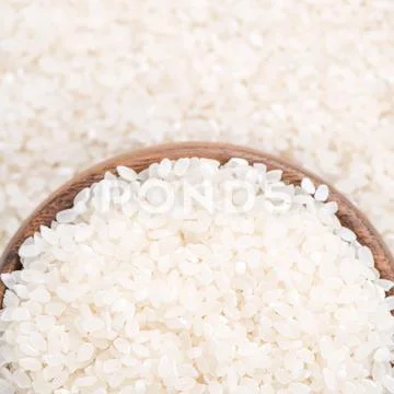 Raw white polished milled edible rice crop on white background in brown ...