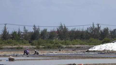 The raw white salt field on a sunny day | Stock Video | Pond5