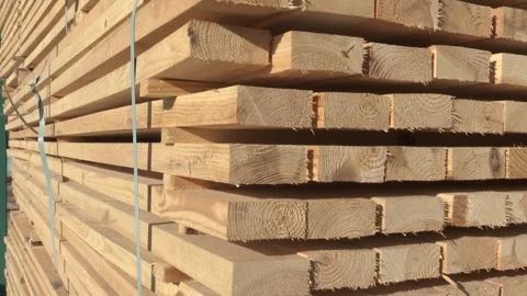 Raw wood drying in the lumber warehouse. | Stock Video | Pond5