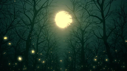 Rays of moonlight illuminate the falling... | Stock Video | Pond5