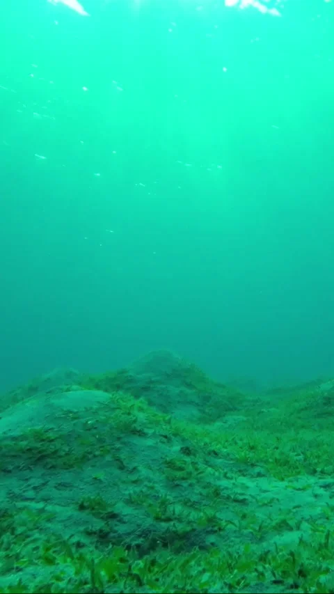 The rays of the morning sun break throug... | Stock Video | Pond5