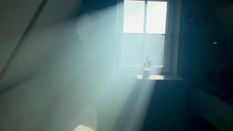 Rays of the sun seeping through the wind... | Stock Video | Pond5