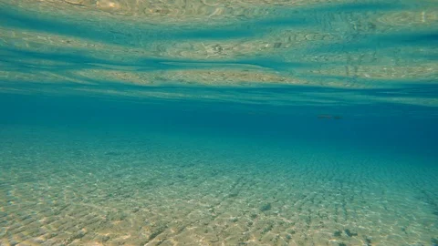 Underwater Caustics Stock Footage ~ Royalty Free Stock Videos | Pond5