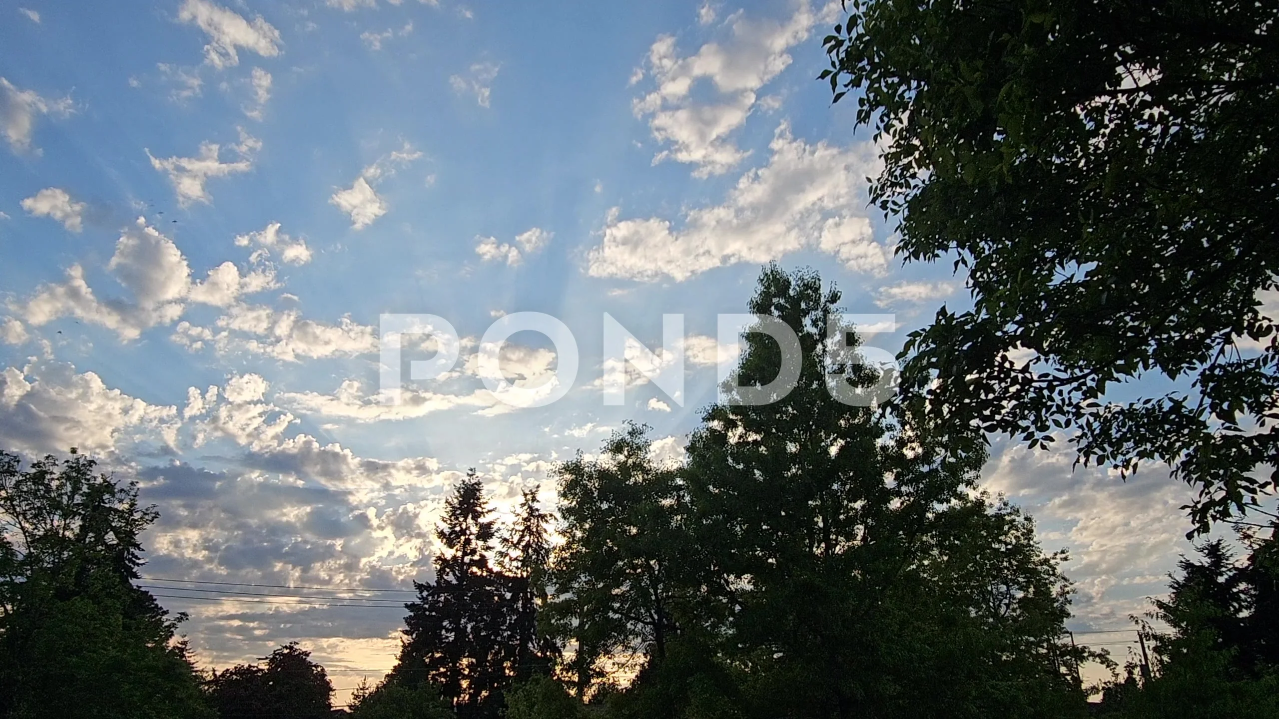Forest Sunshine Through Clouds