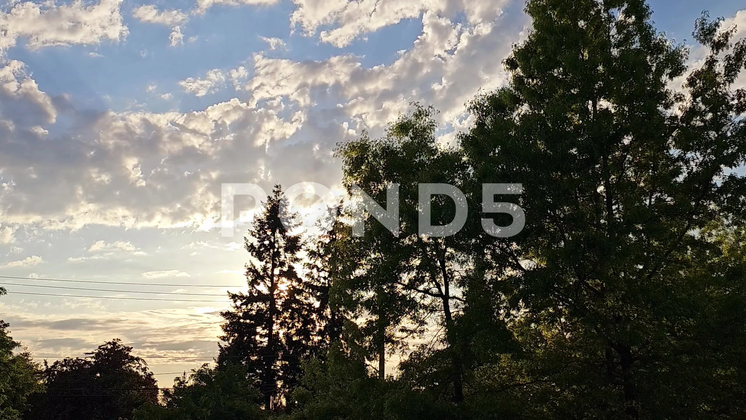 Forest Sunshine Through Clouds