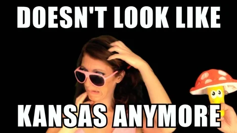 Girls Reaction Meme Stock Videos – Royalty-Free HD & 4K Videos