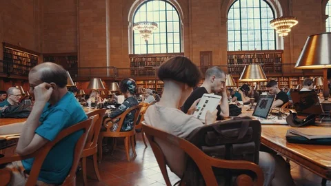 Library Stock Videos – Royalty-Free HD & 4K Videos