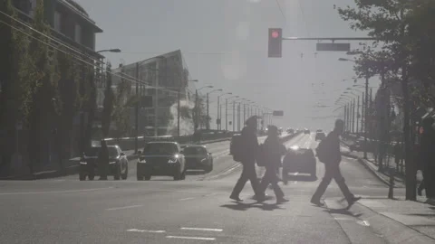 READY TO BE GRADED 4K Slog3 Handheld Gra... | Stock Video | Pond5