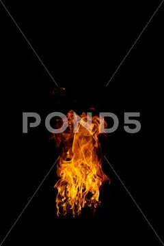 Real and hot flames are burning on a black background. ~ Premium Photo ...