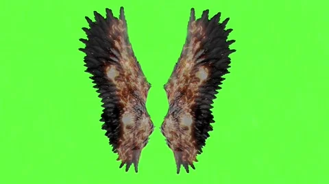 Green Screen Angel Stock Video Footage | Royalty Free Green Screen ...