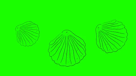 Real Animated Cartoon Shells on a Green ... | Stock Video | Pond5