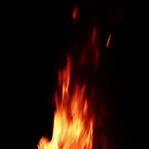 Real fire flame on a black background | Stock Video | Pond5