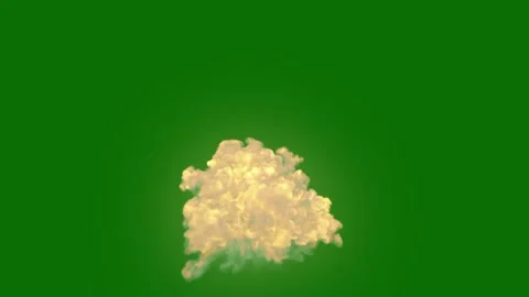 Real Fire Visual Effect Animation on Gre... | Stock Video | Pond5