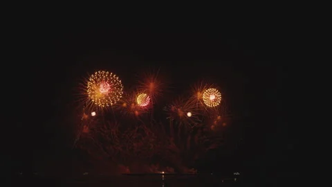 Real Fireworks on night backgrounds. abs... | Stock Video | Pond5