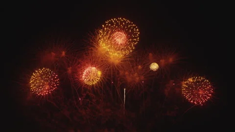 Real Fireworks on night backgrounds. abs... | Stock Video | Pond5