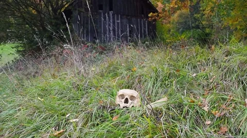 Real human skull at backyard of Haunted ... | Stock Video | Pond5