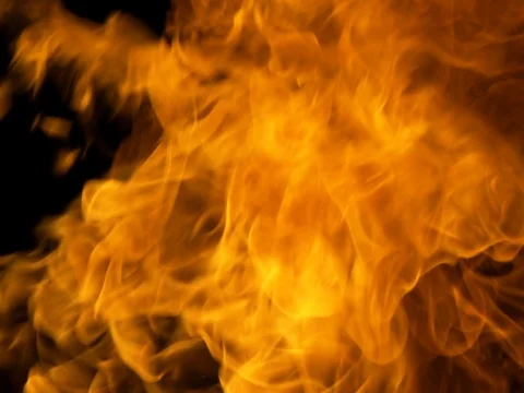 Adobe Premiere Elements Stock Footage ~ Royalty Free Stock Videos | Pond5