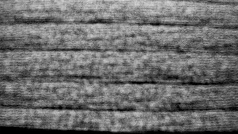 Real-life static noise practical composi... | Stock Video | Pond5